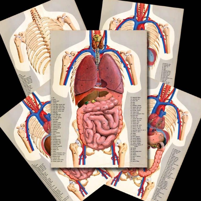 AUTOPSY TABLE – Ghost Ride Productions INC.